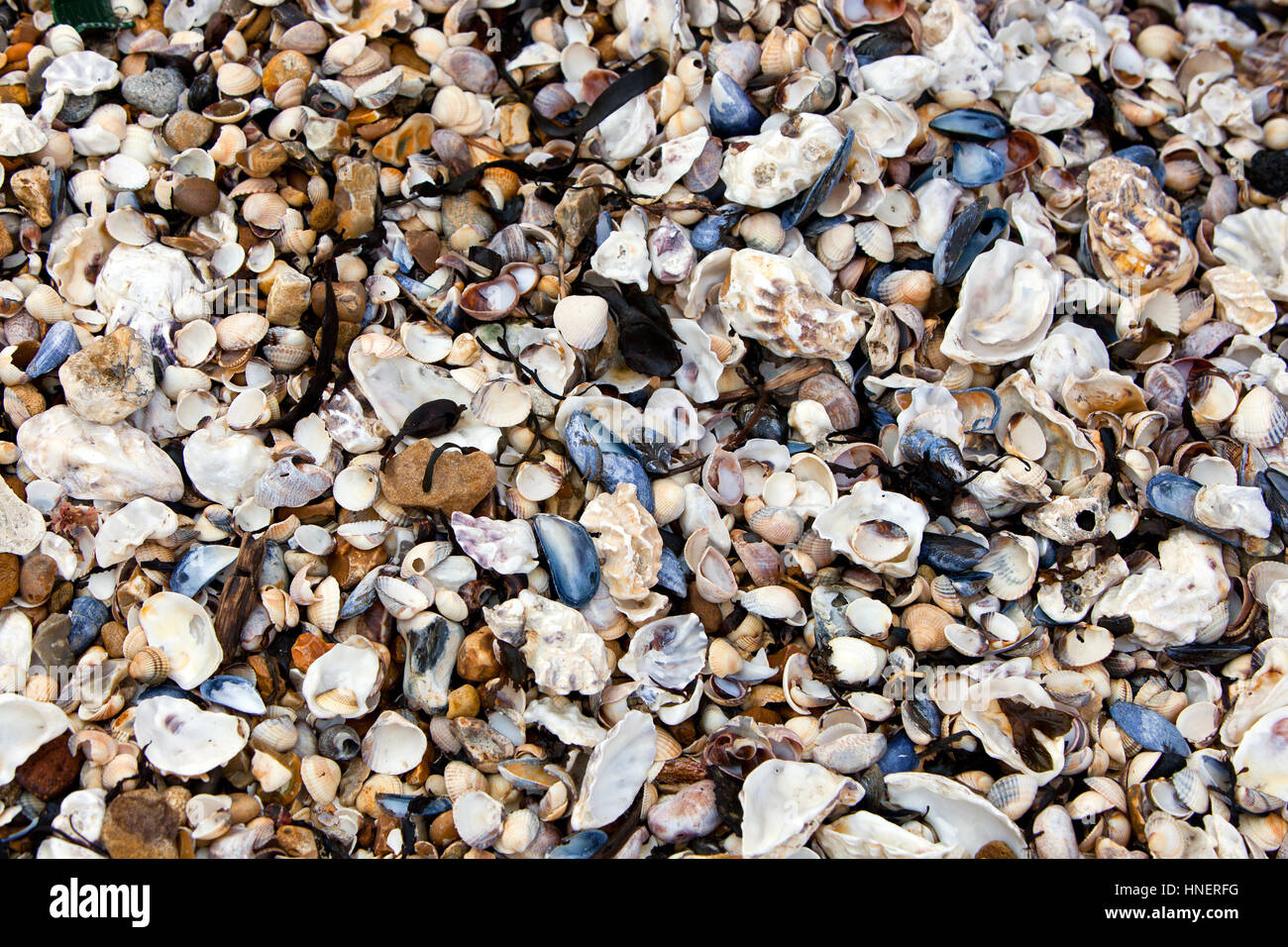 Seashore texture hi-res stock photography and images - Alamy