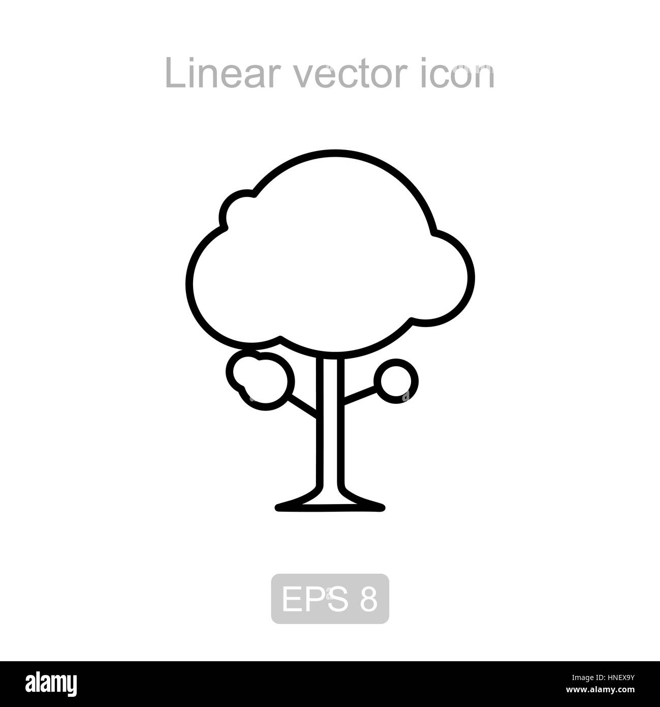 Tree branch in flat Black and White Stock Photos & Images - Alamy