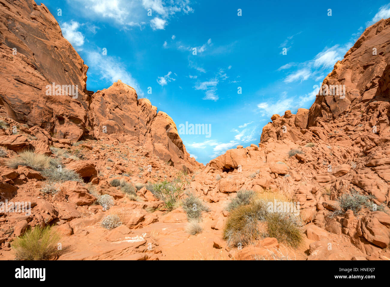 Mojave desert hi-res stock photography and images - Alamy
