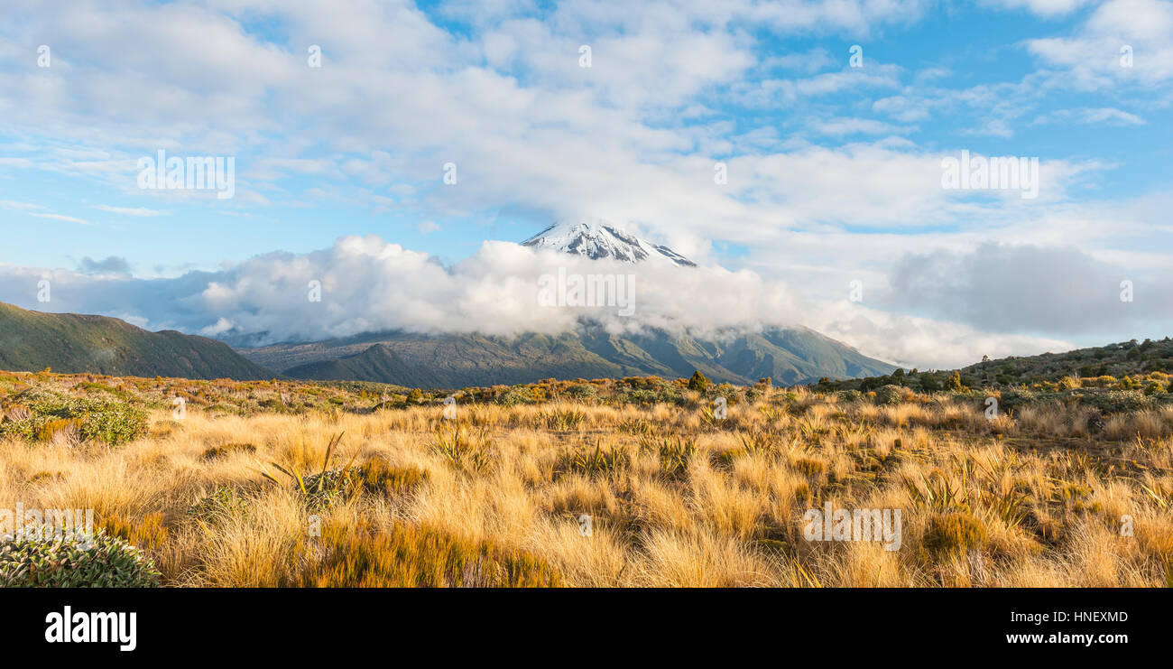 Stratovolcano Mount Taranaki or Mount Egmont with cloud, Egmont ...