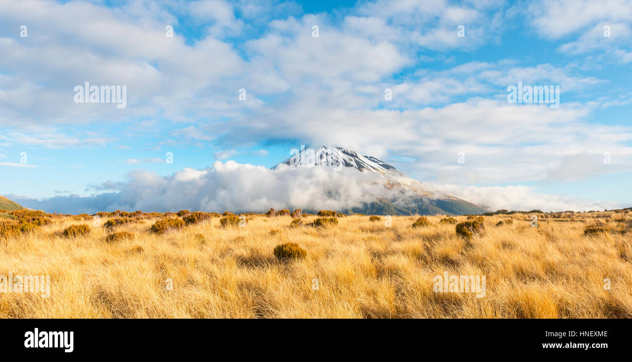 Stratovolcano Mount Taranaki or Mount Egmont with cloud, Egmont ...