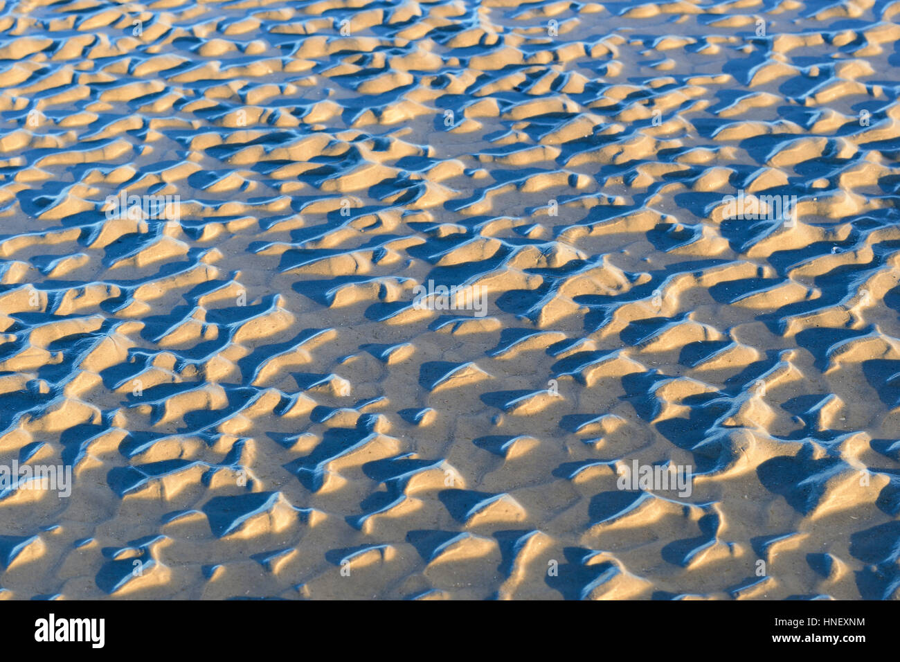 Sea Low Tide In St Peter Ording High Resolution Stock Photography and ...