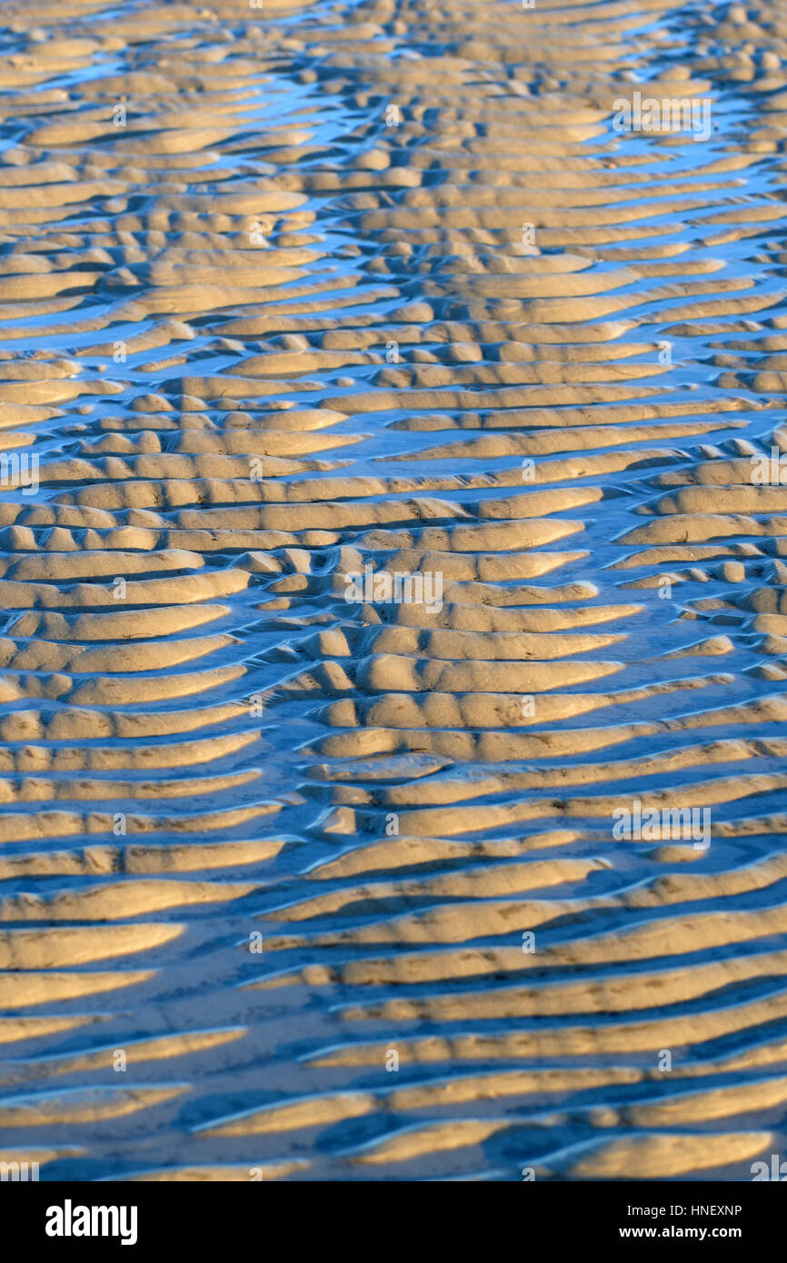 Wave-like structures, ripples in the sand at low tide, St. Peter-Ording ...