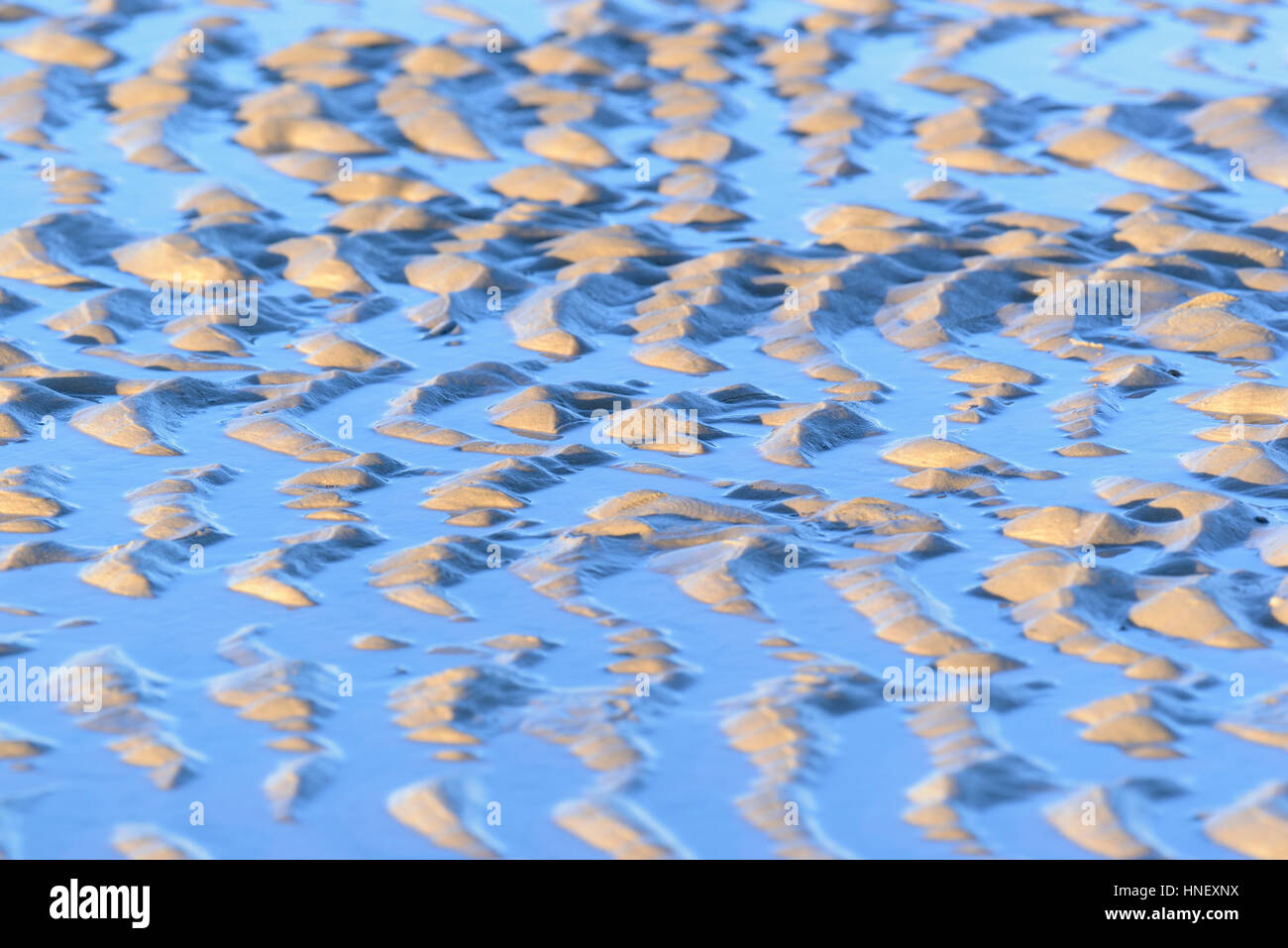 Wave structure in light sand hi-res stock photography and images - Alamy