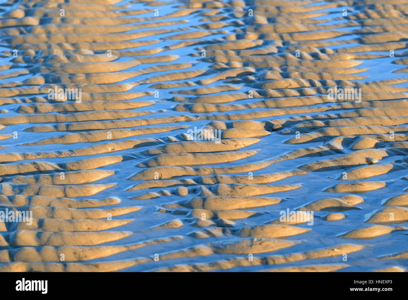 Sea low tide in st peter ording hi-res stock photography and images - Alamy