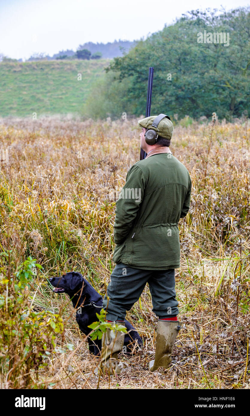 A man with a black Labrador dog on a days shooting Stock Photo - Alamy