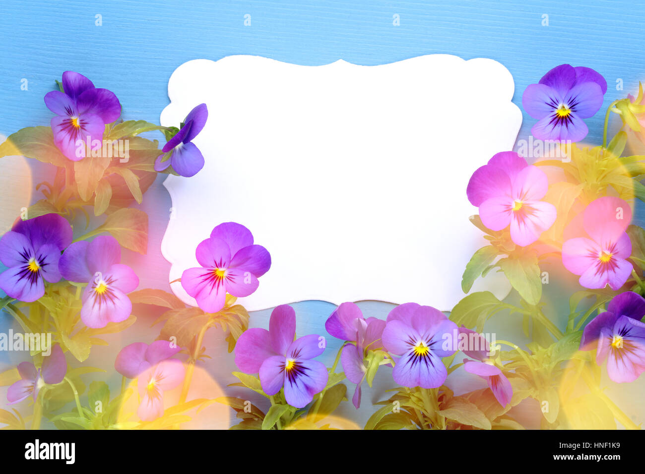 Spring flower card floral hi-res stock photography and images - Alamy