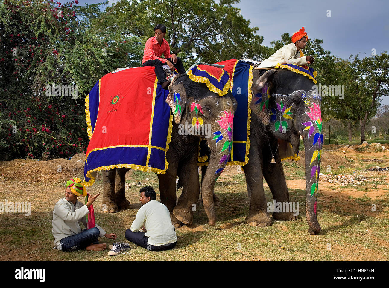 Elephant Festival,Jaipur, Rajasthan, India Stock Photo - Alamy