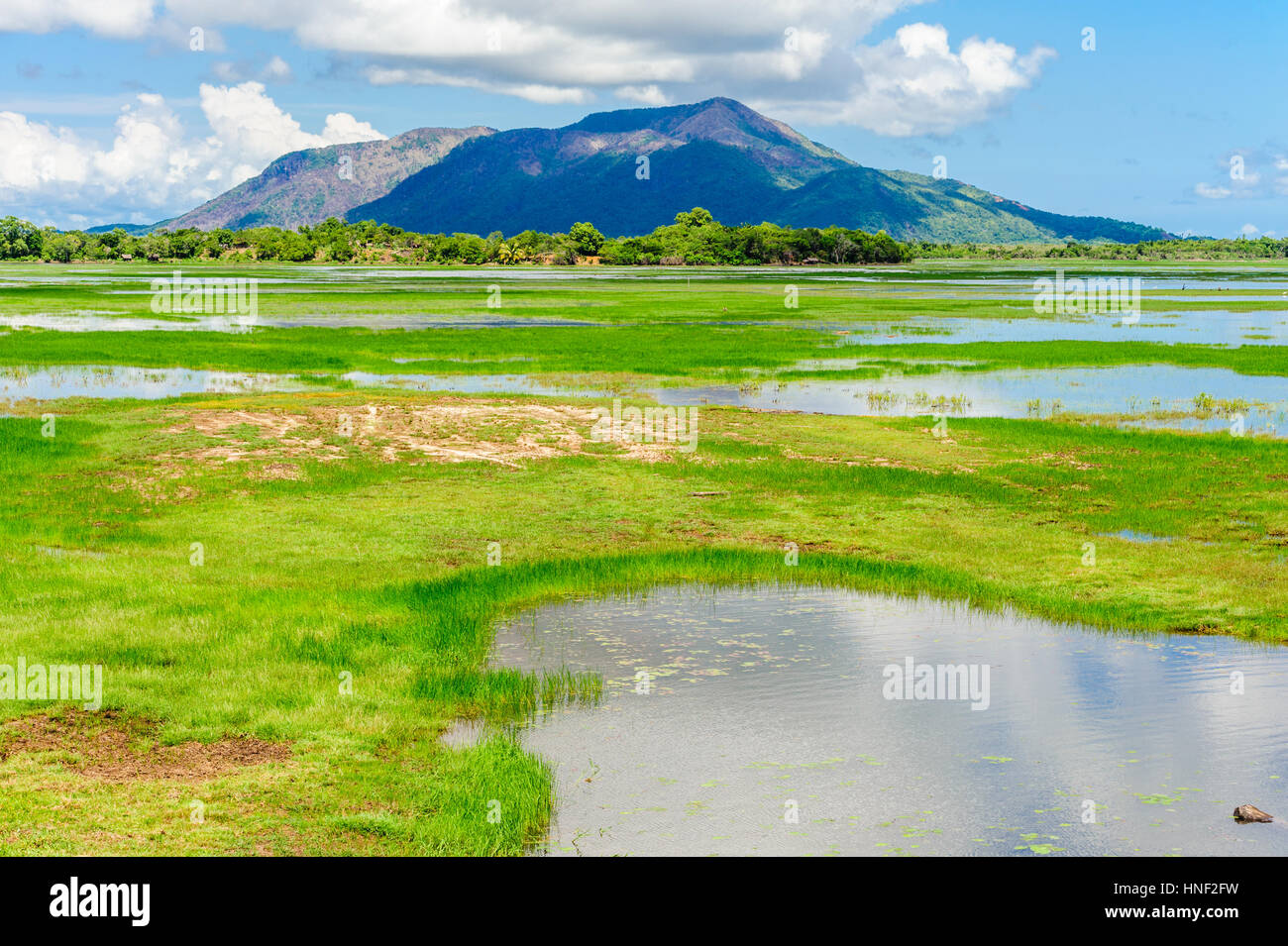 Madagascar landscape hi-res stock photography and images - Alamy