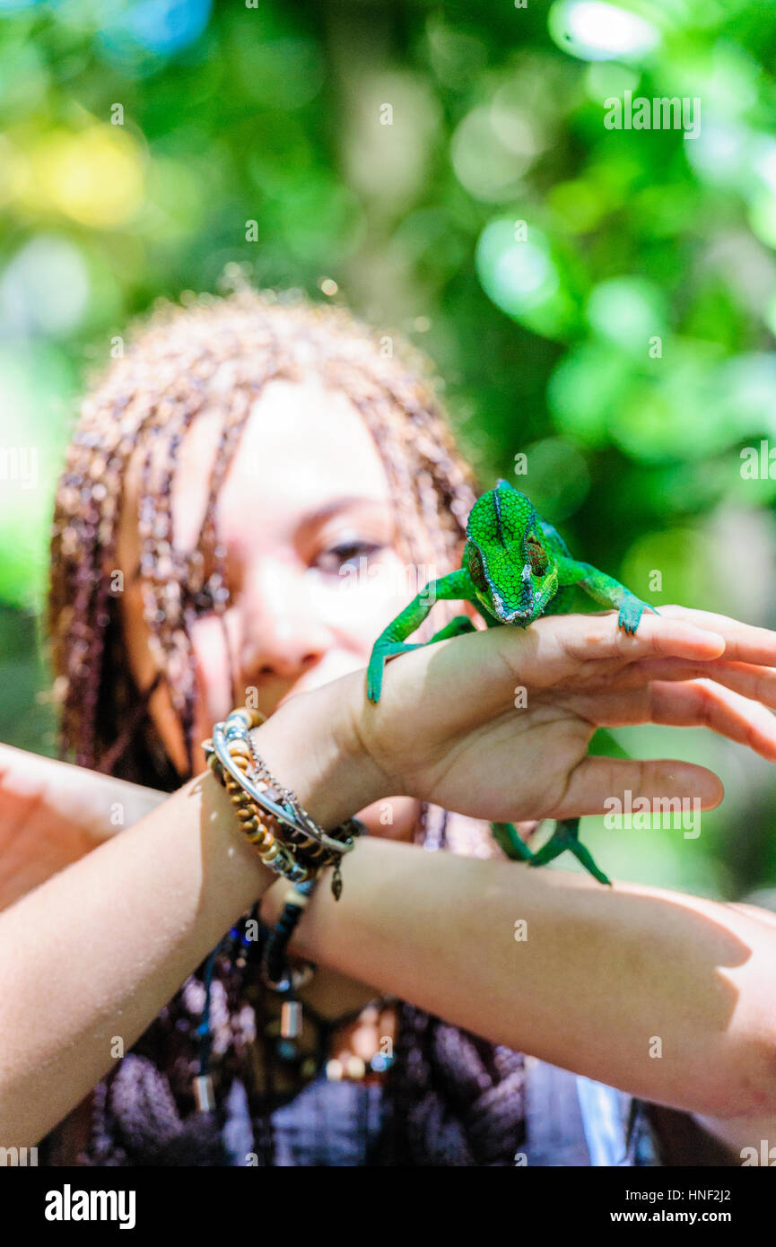 Madagascar, Nosy Komba, young woman holding a panther chameleon Stock ...