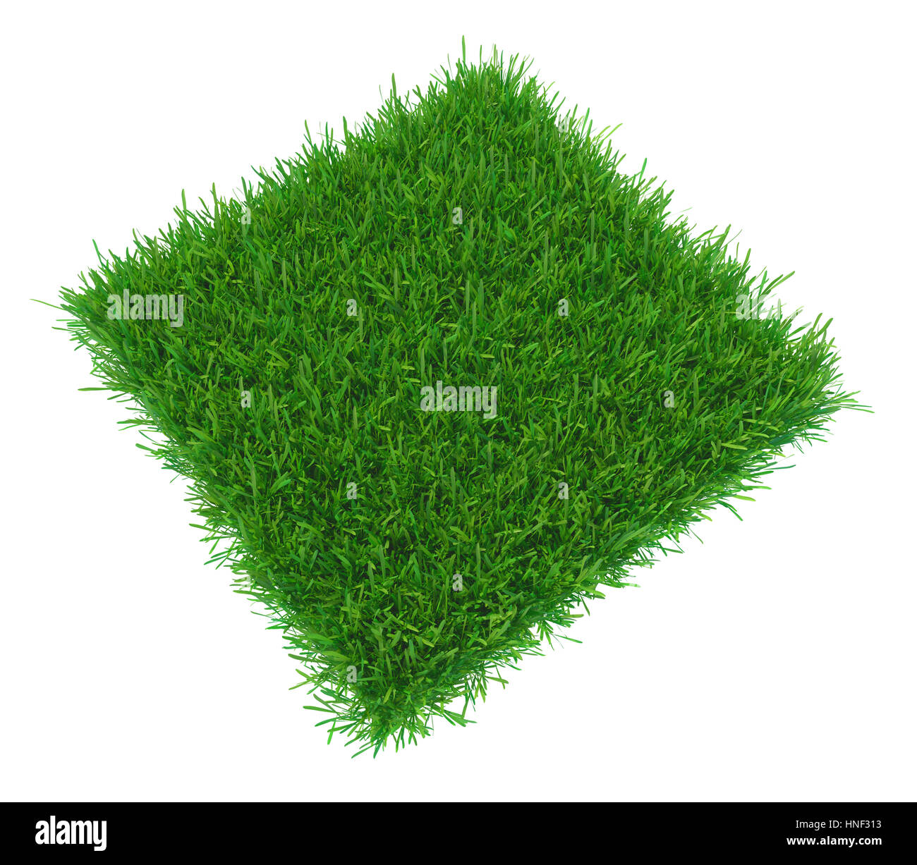 Grass top view Cut Out Stock Images & Pictures - Alamy