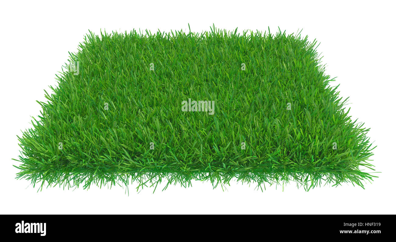 green grass field isolated on white background Stock Photo - Alamy