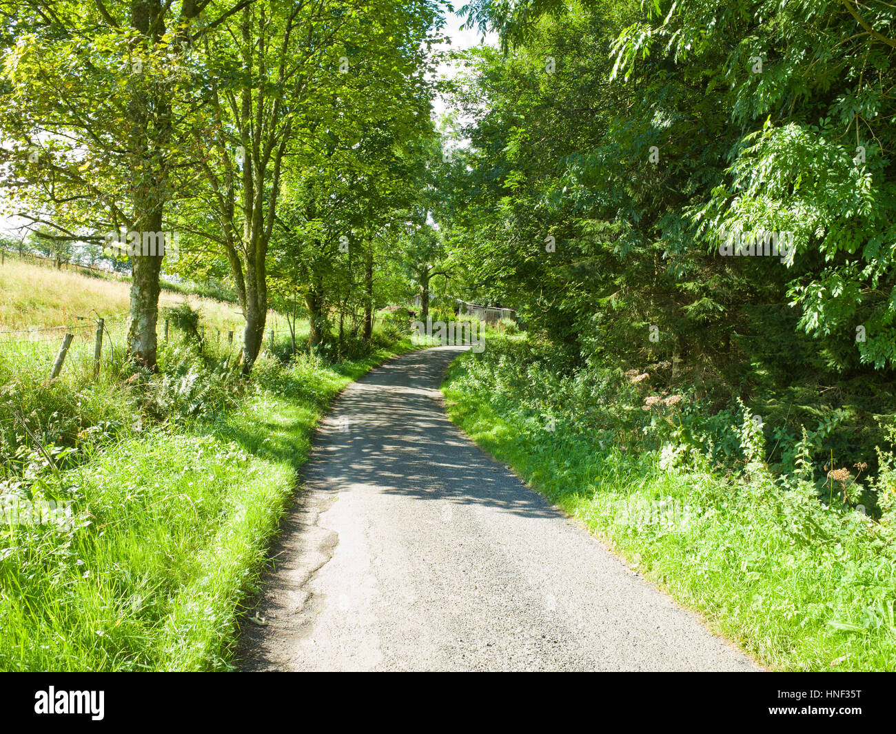 Newcastleton hi-res stock photography and images - Alamy