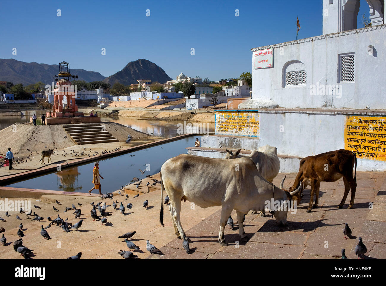 townscape, cityscape, ghat, Ghats, holy lake,pushkar, Rajasthan, india ...