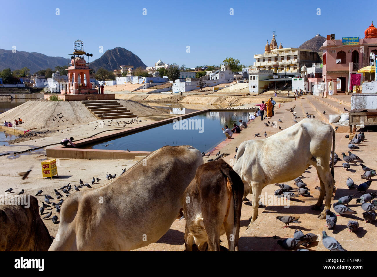 Ghat, Ghats, holy lake,pushkar, Rajasthan, india Stock Photo - Alamy