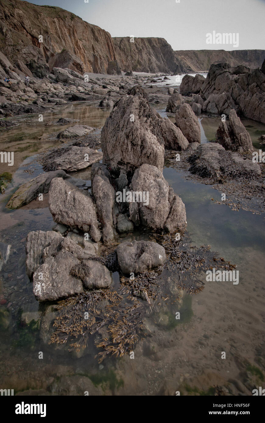 Rock formations on the beaches in the UK Stock Photo - Alamy