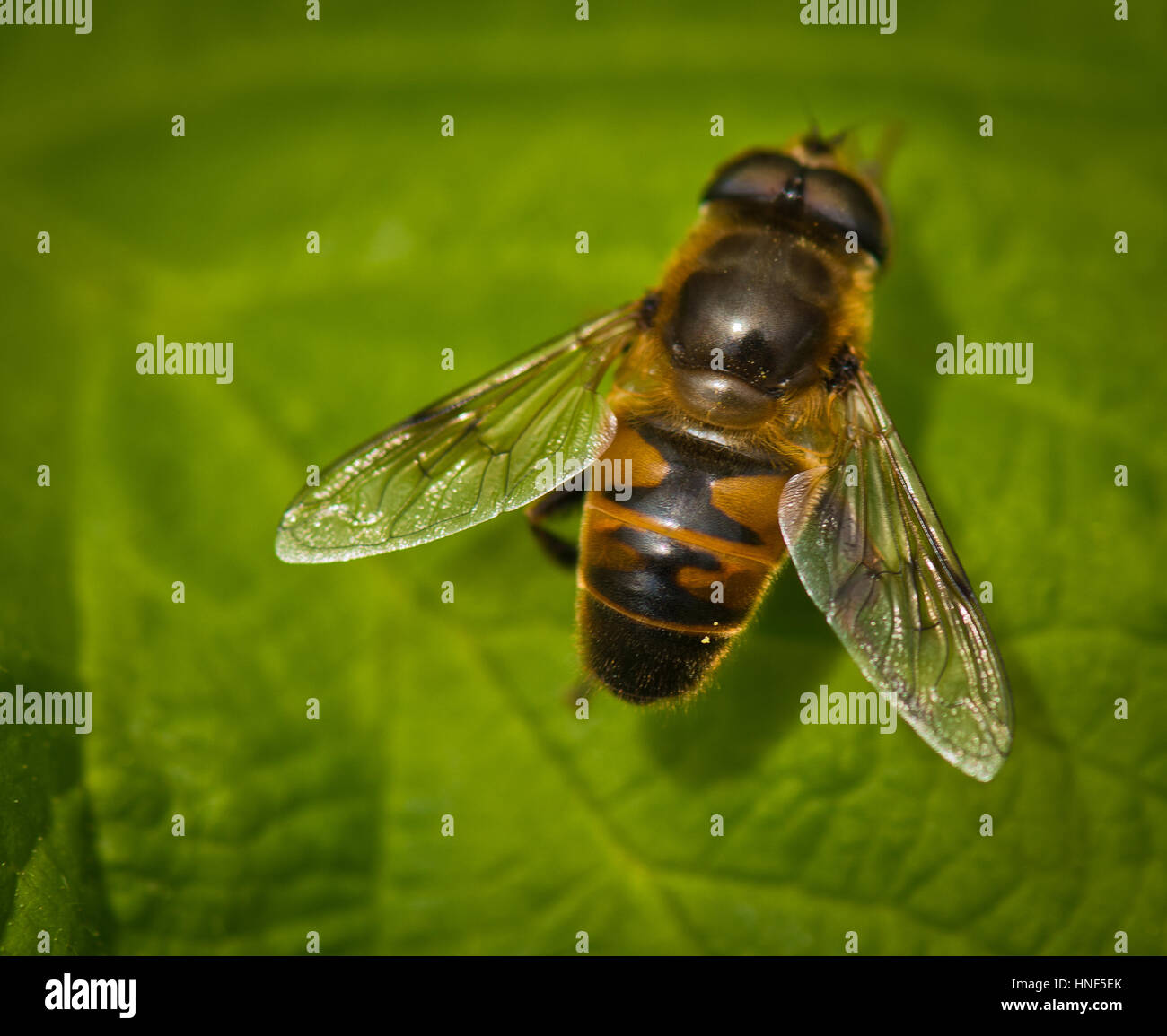 Ragpits nature reserve hi-res stock photography and images - Alamy