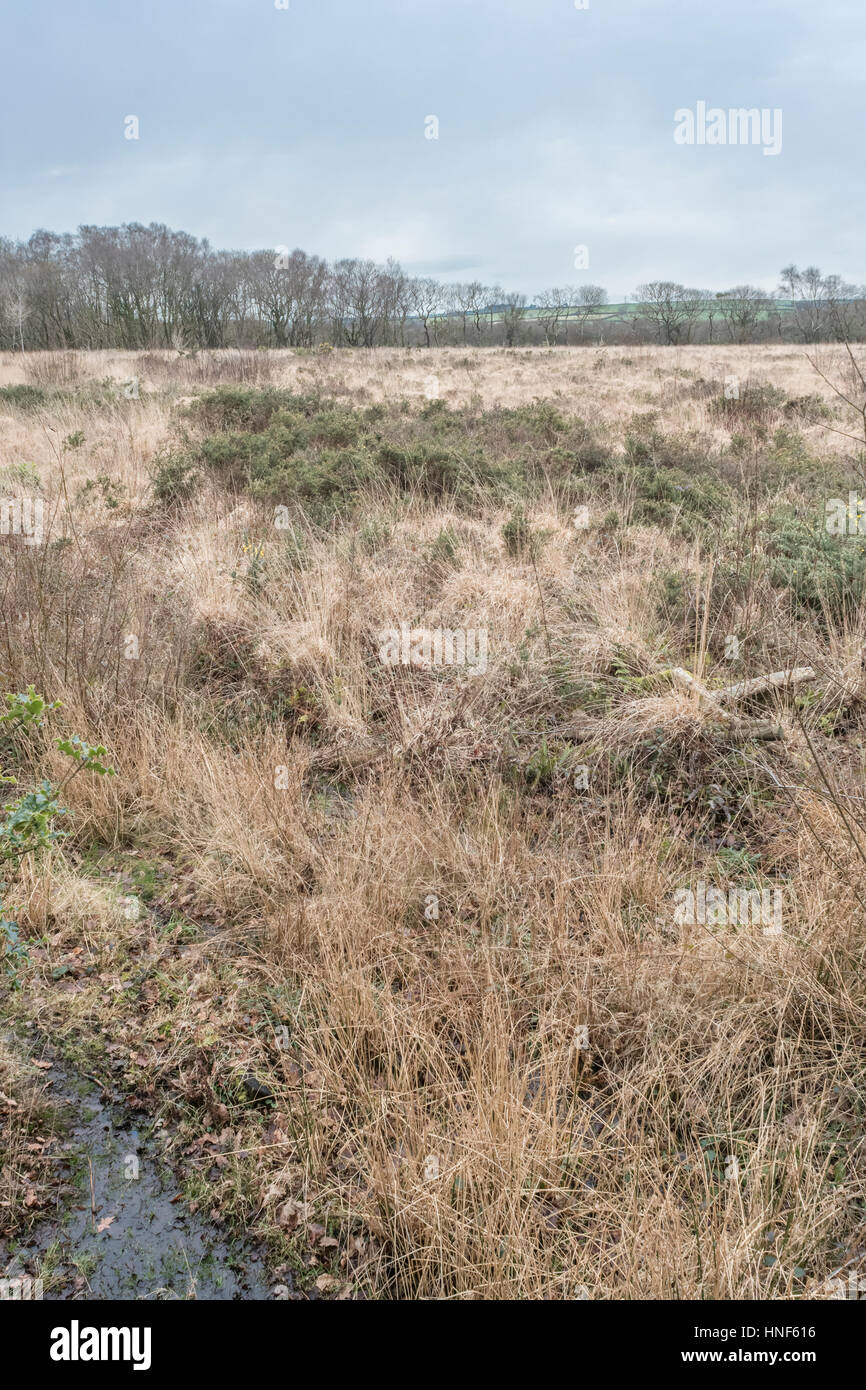 Scrubland Stock Photos & Scrubland Stock Images - Alamy