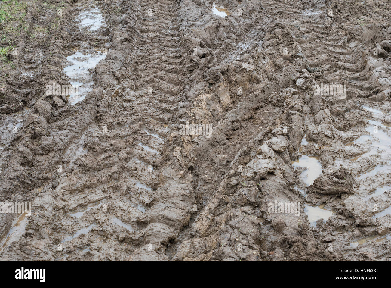 Thick Mud High Resolution Stock Photography and Images - Alamy