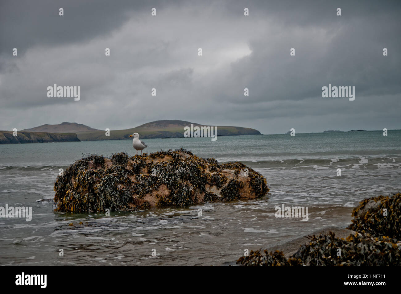Natural water landscapes Stock Photo - Alamy