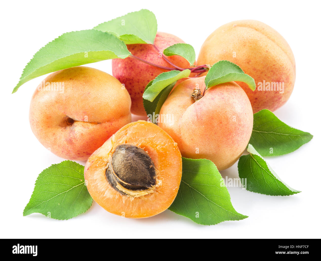 Apricots and its cross-section on the white background Stock Photo - Alamy