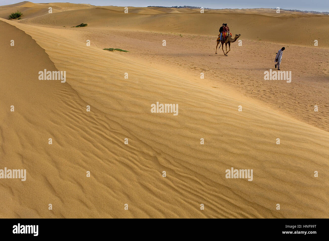 Tourists riding a camel on Sam dunes in Desert National Park in the ...