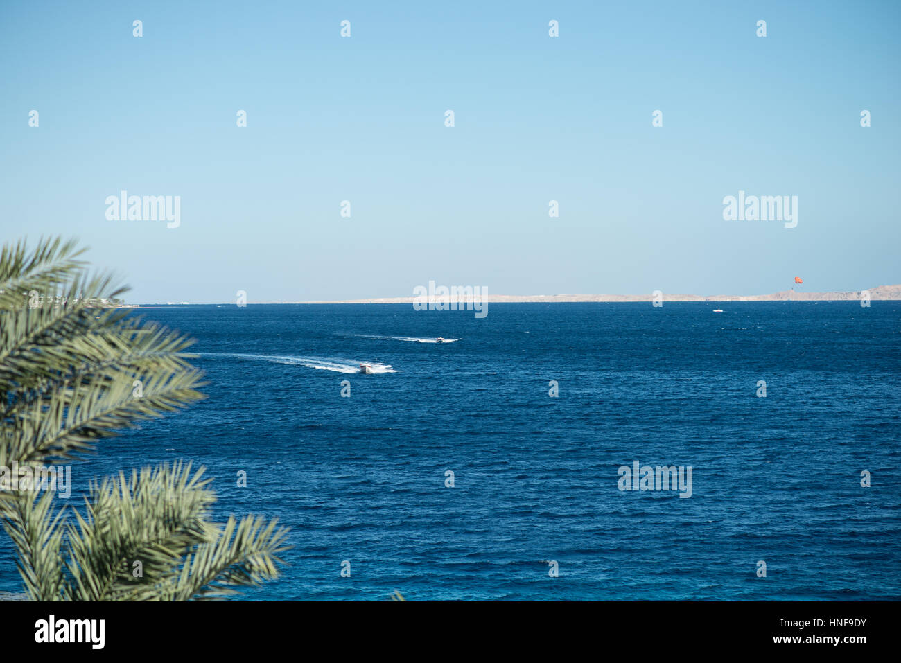 ships at sea. speed boat in the Red Sea Stock Photo - Alamy