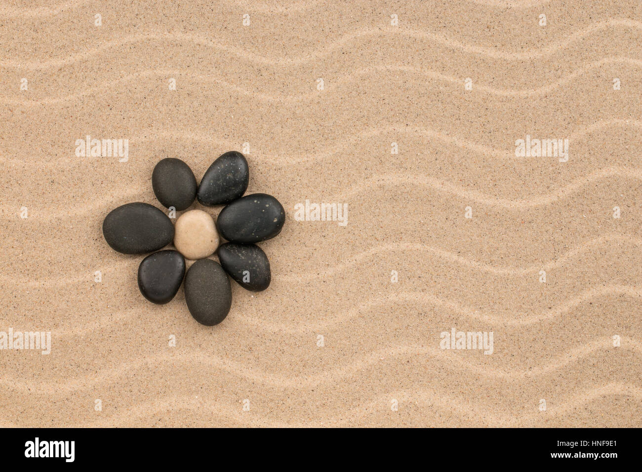 Flower made of stones on the sand dunes. Beauty and harmony Stock Photo ...
