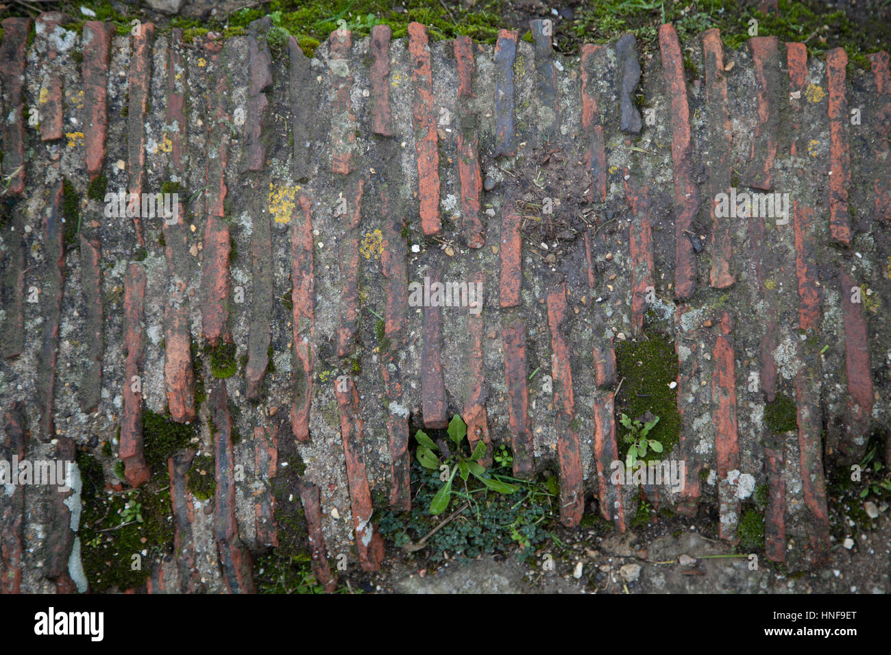 brickwork detail at old castle Stock Photo - Alamy