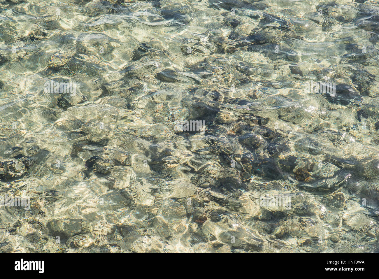 red sea background. water background. turquoise color of the water ...