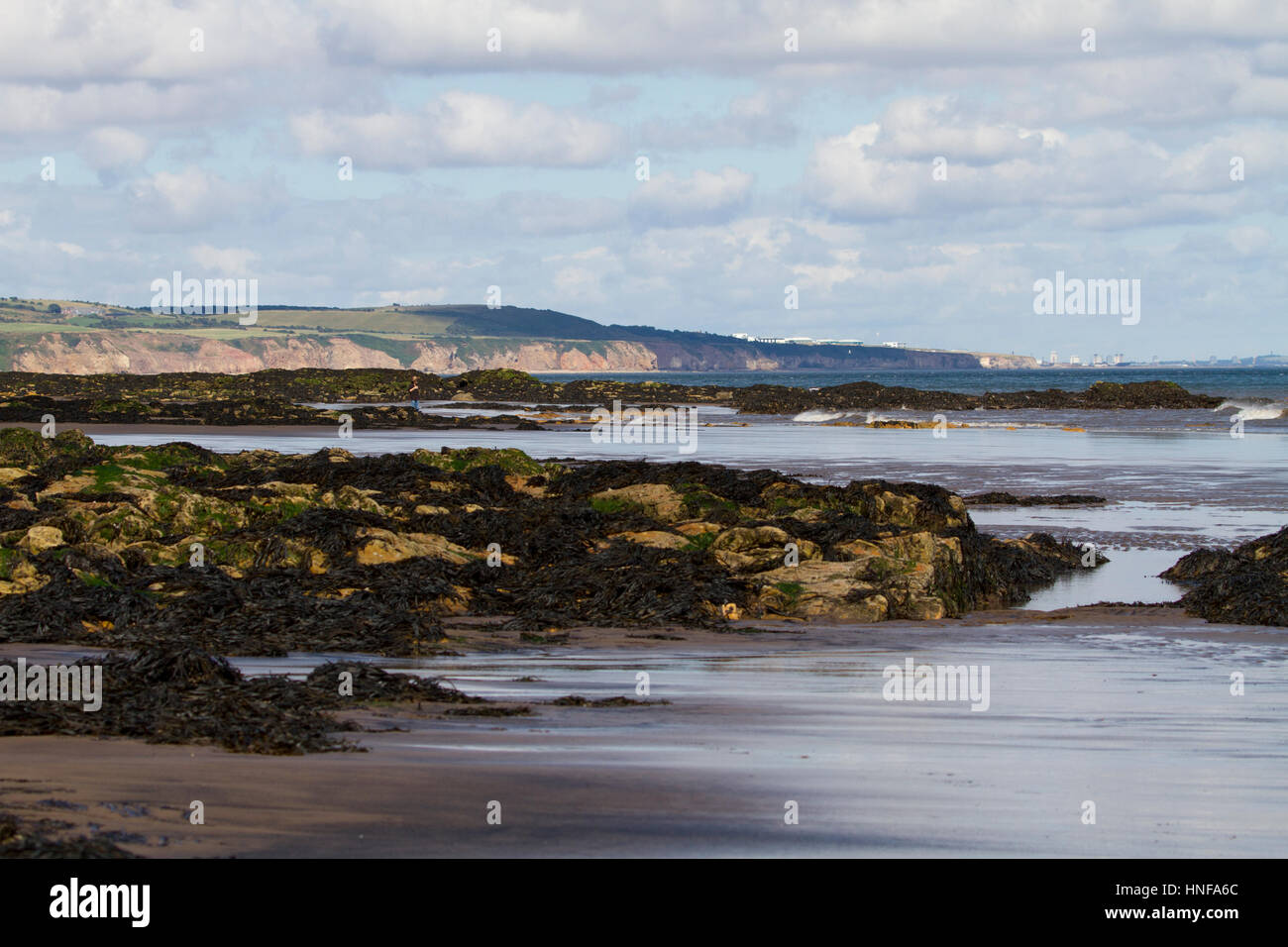 Durham heritage coast hi-res stock photography and images - Alamy