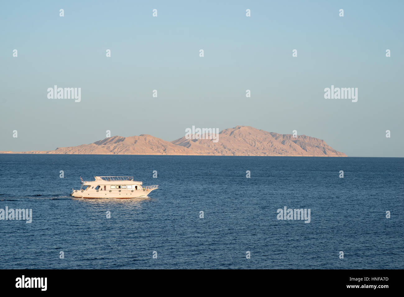 ships at sea. speed boat in the Red Sea Stock Photo - Alamy