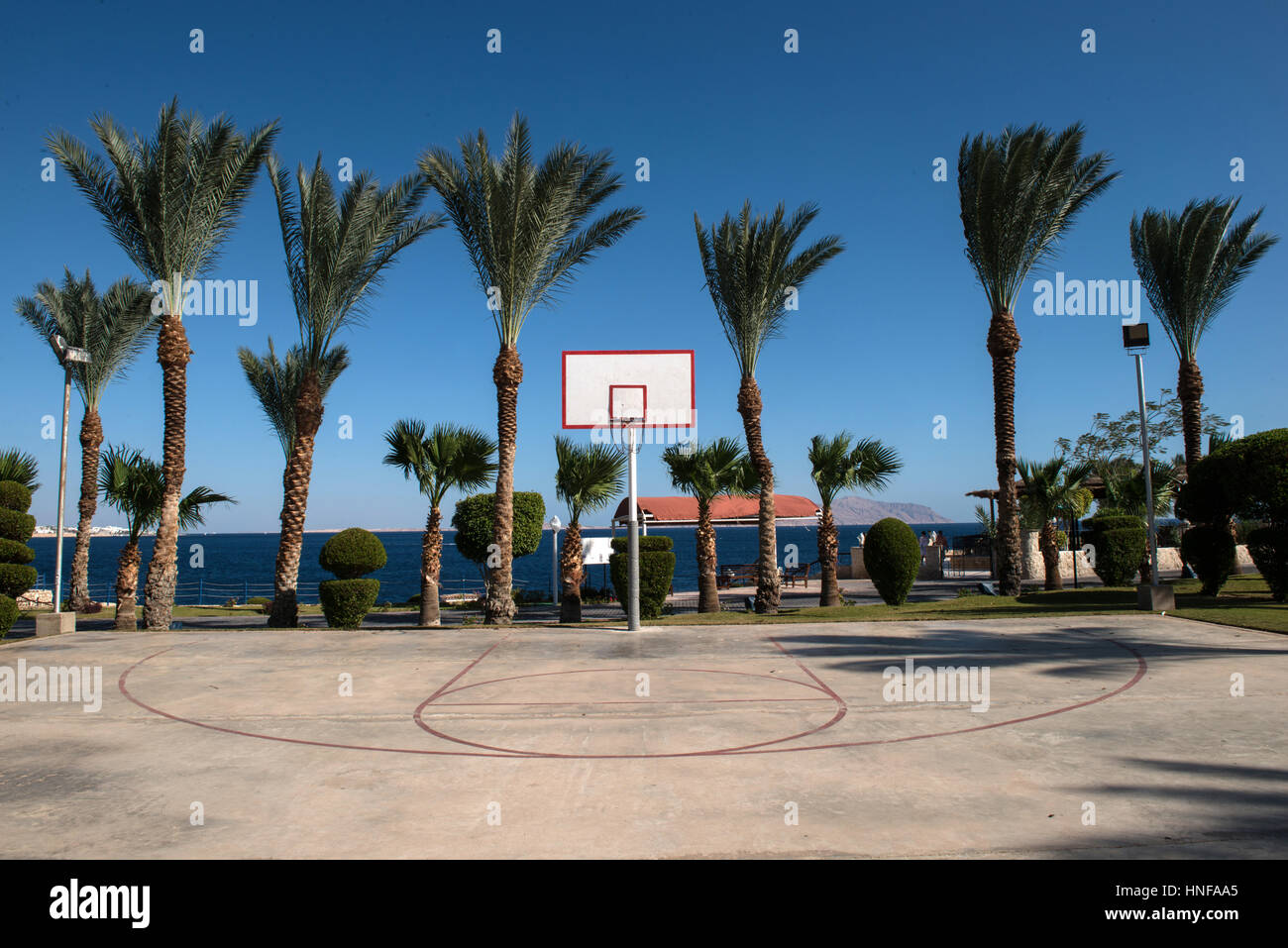 Palm basketball hi-res stock photography and images - Alamy