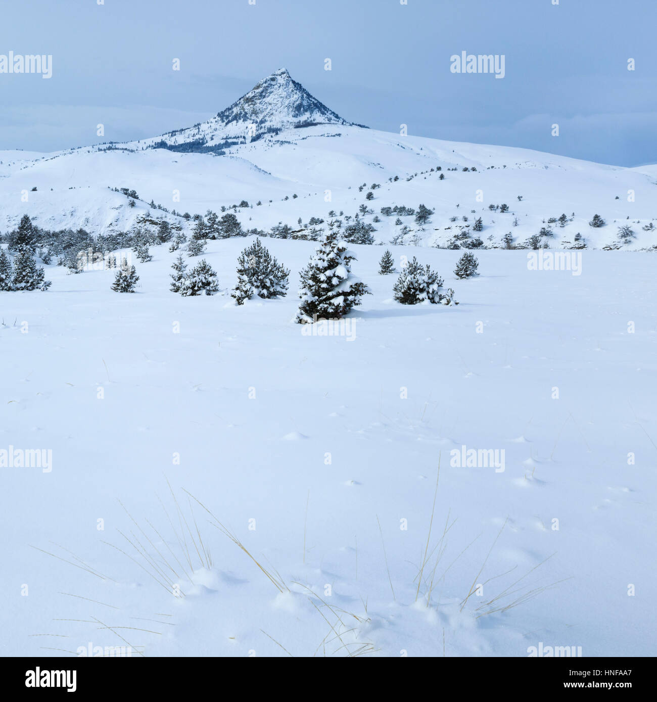 Mt d4114 hi-res stock photography and images - Alamy