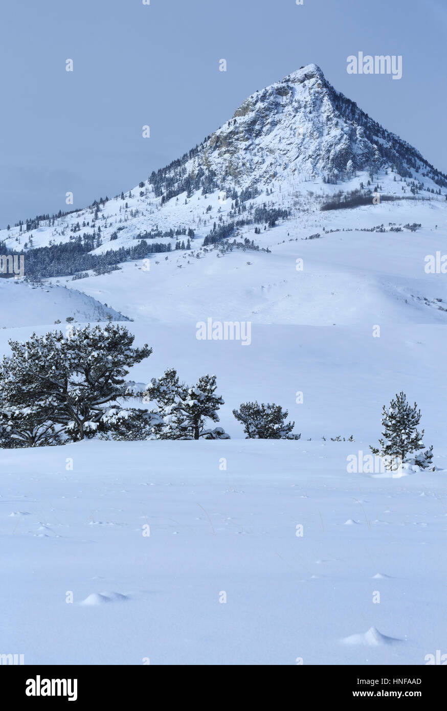 Pristine winter landscape with snow hi-res stock photography and images ...