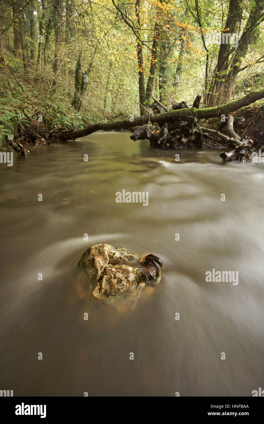 Ilston hi-res stock photography and images - Alamy