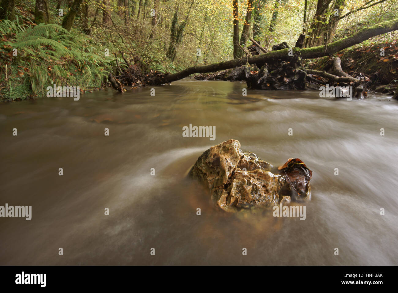 Ilston High Resolution Stock Photography and Images - Alamy