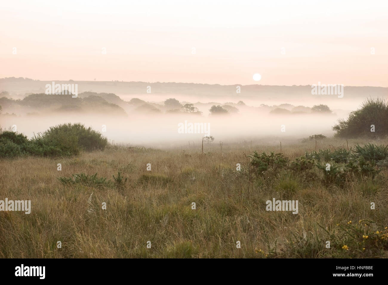 Ilston valley dawn Stock Photo - Alamy