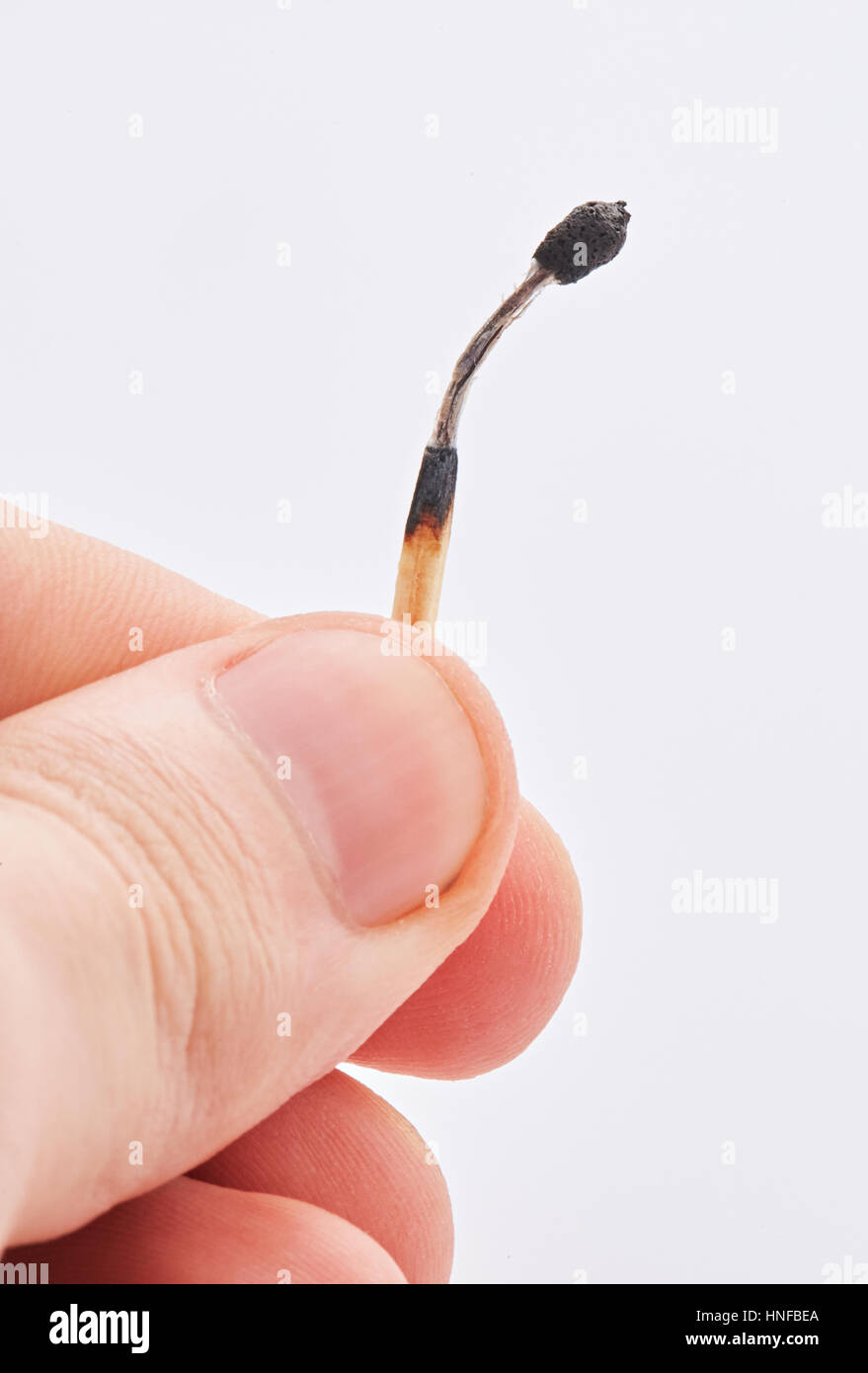 Close up of burned match in hand isolated on white background Stock ...