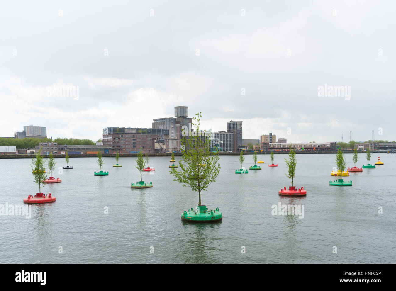 ROTTERDAM, NETHERLANDS - MAY 14, 2016: Small elm trees on re-used buoys ...