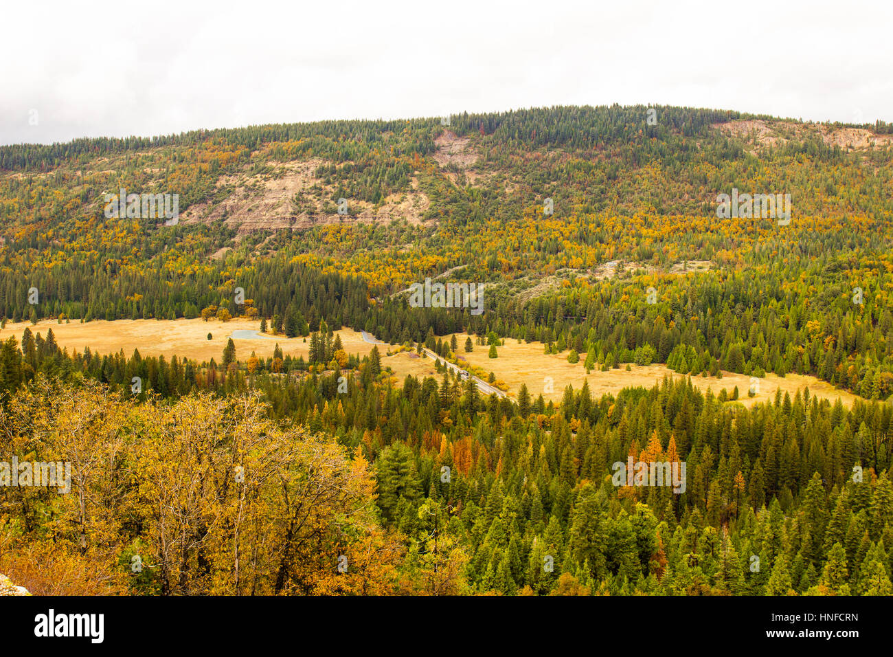 Changing Colors Of Fall In Sierra Nevad Valley Stock Photo - Alamy