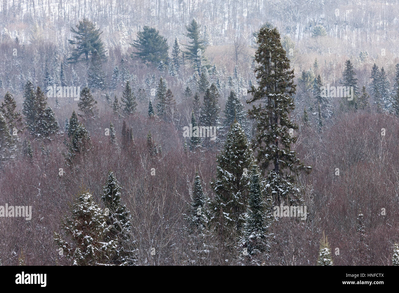 Arrowhead provincial park hi-res stock photography and images - Alamy