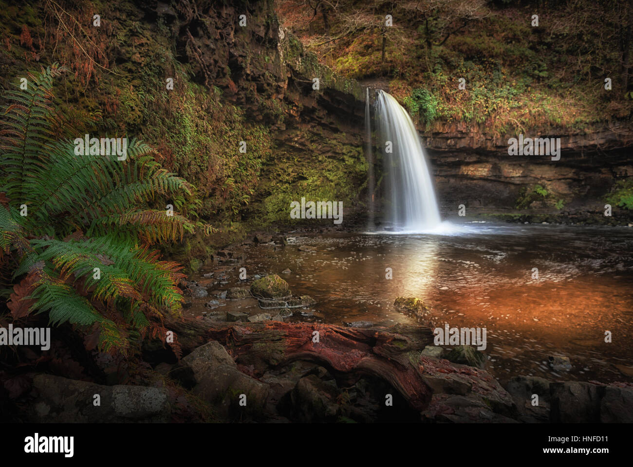 Lady Falls Sgwd Gwladus waterfall The river Afon Pyrddin near ...