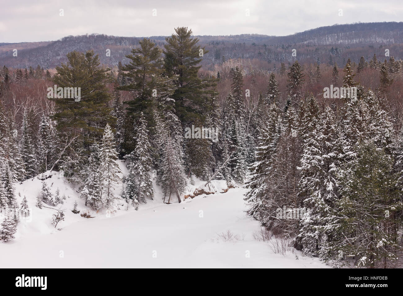 Arrowhead provincial park hi-res stock photography and images - Alamy