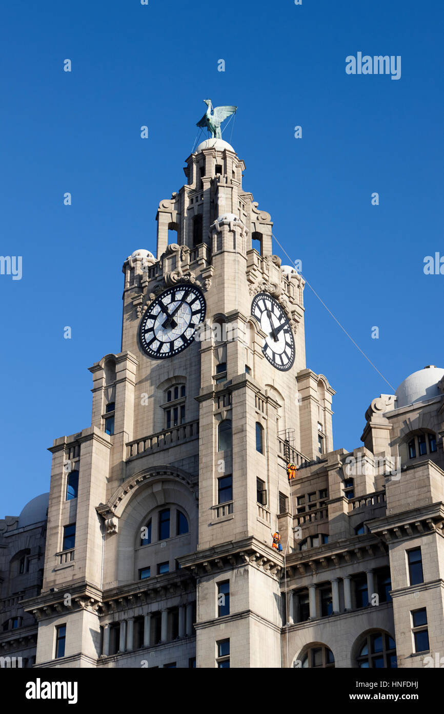 clock tower at the top of the liver building with workers on ropes ...