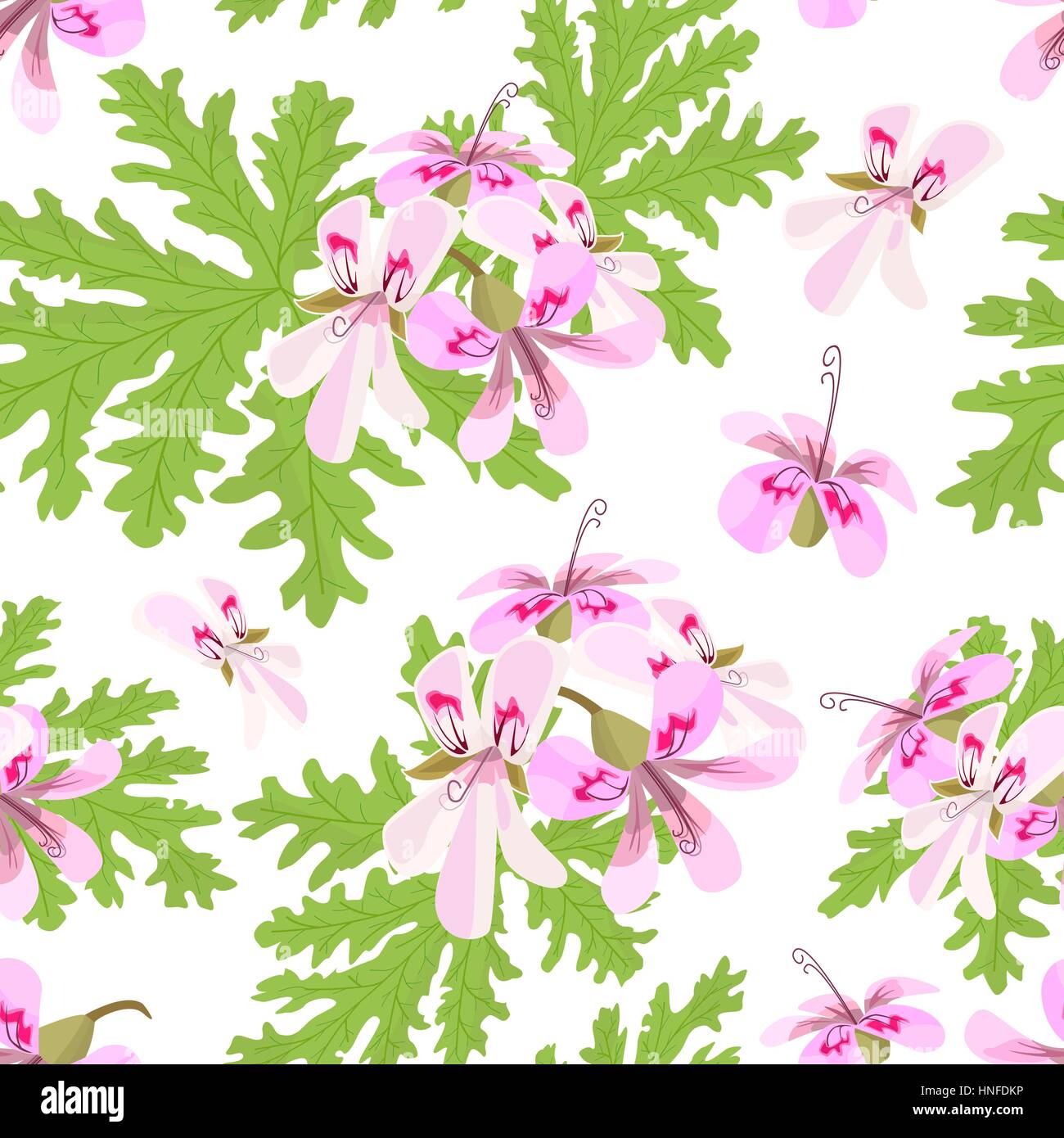 Rose Geranium theme. Seamless pattern vector. Elegant and vivid ...