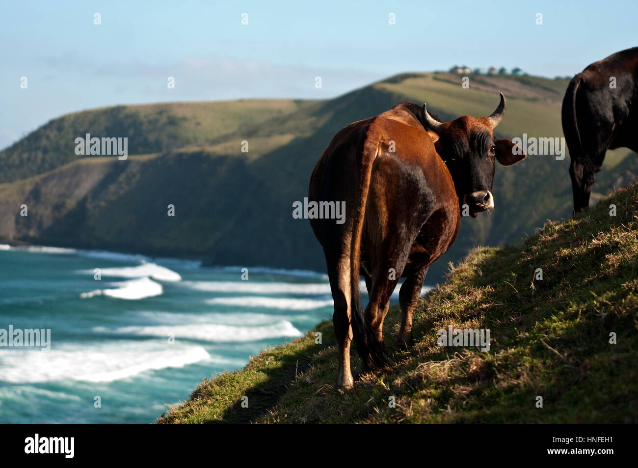 Wild coast eastern cape south africa hi-res stock photography and ...