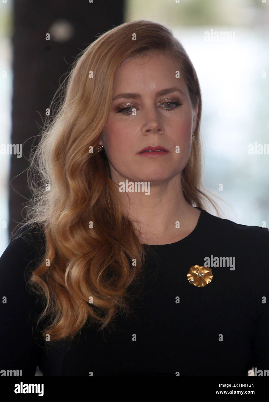 Amy Adams Honored With Star On The Hollywood Walk Of Fame Featuring ...