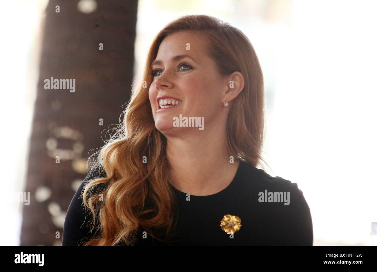 Amy Adams Honored With Star On The Hollywood Walk Of Fame Featuring ...