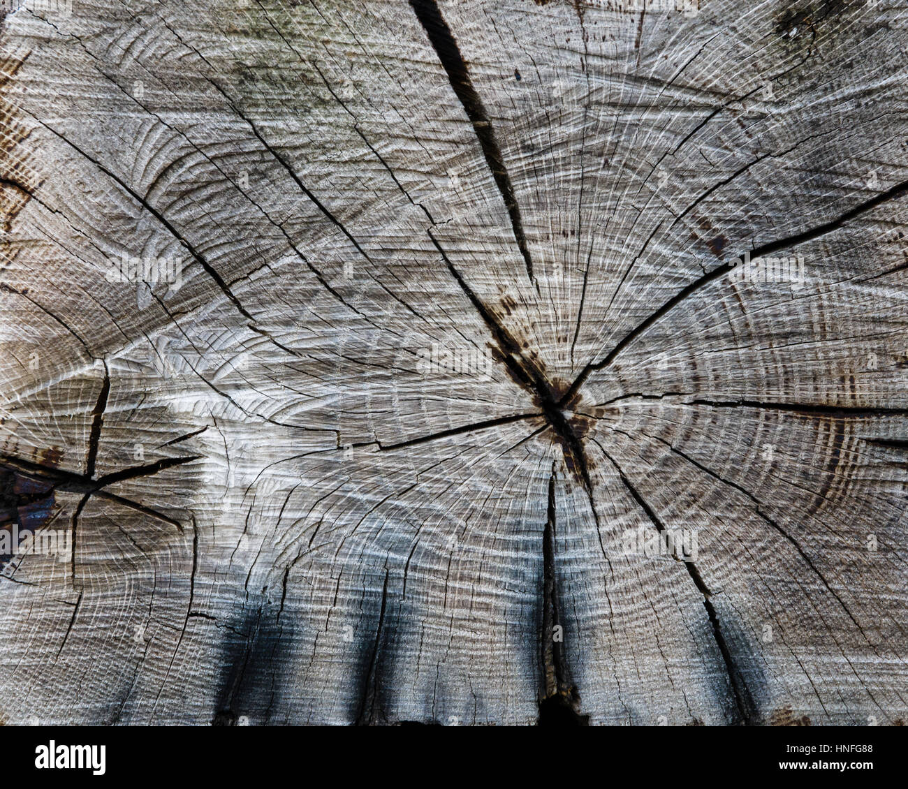 Natural background for use as texture or element Stock Photo - Alamy